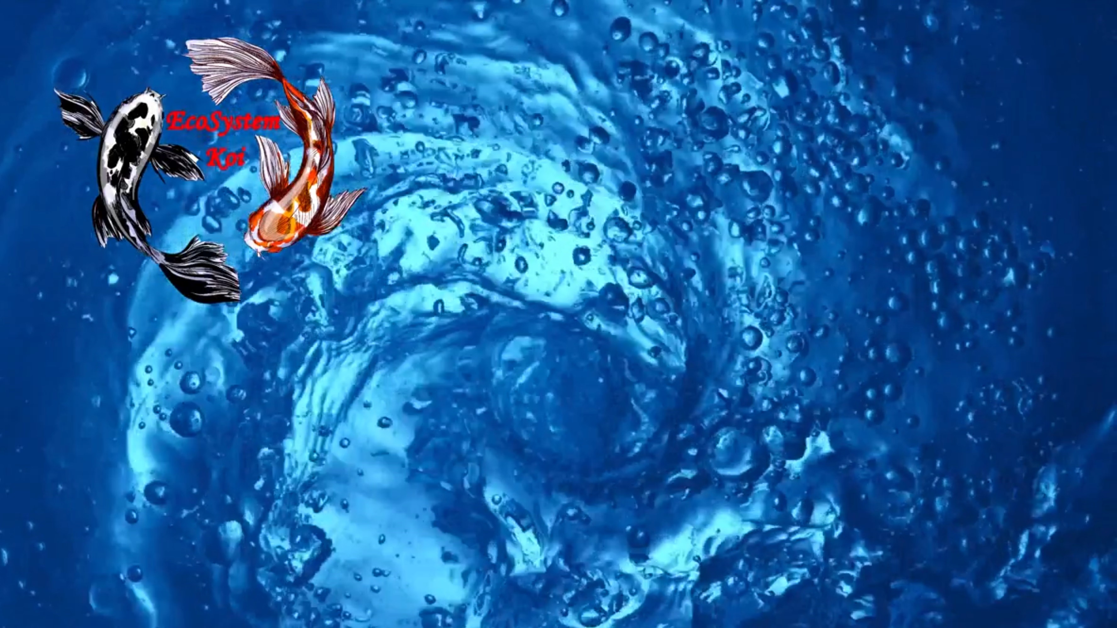 New SIte - EcoSystem Koi